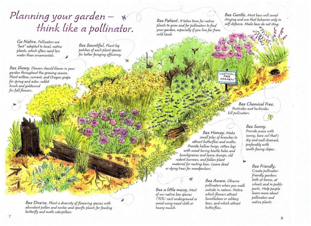 How To Create A Pollinator Garden: Step-By-Step Guide 2026 - GreenLawnora